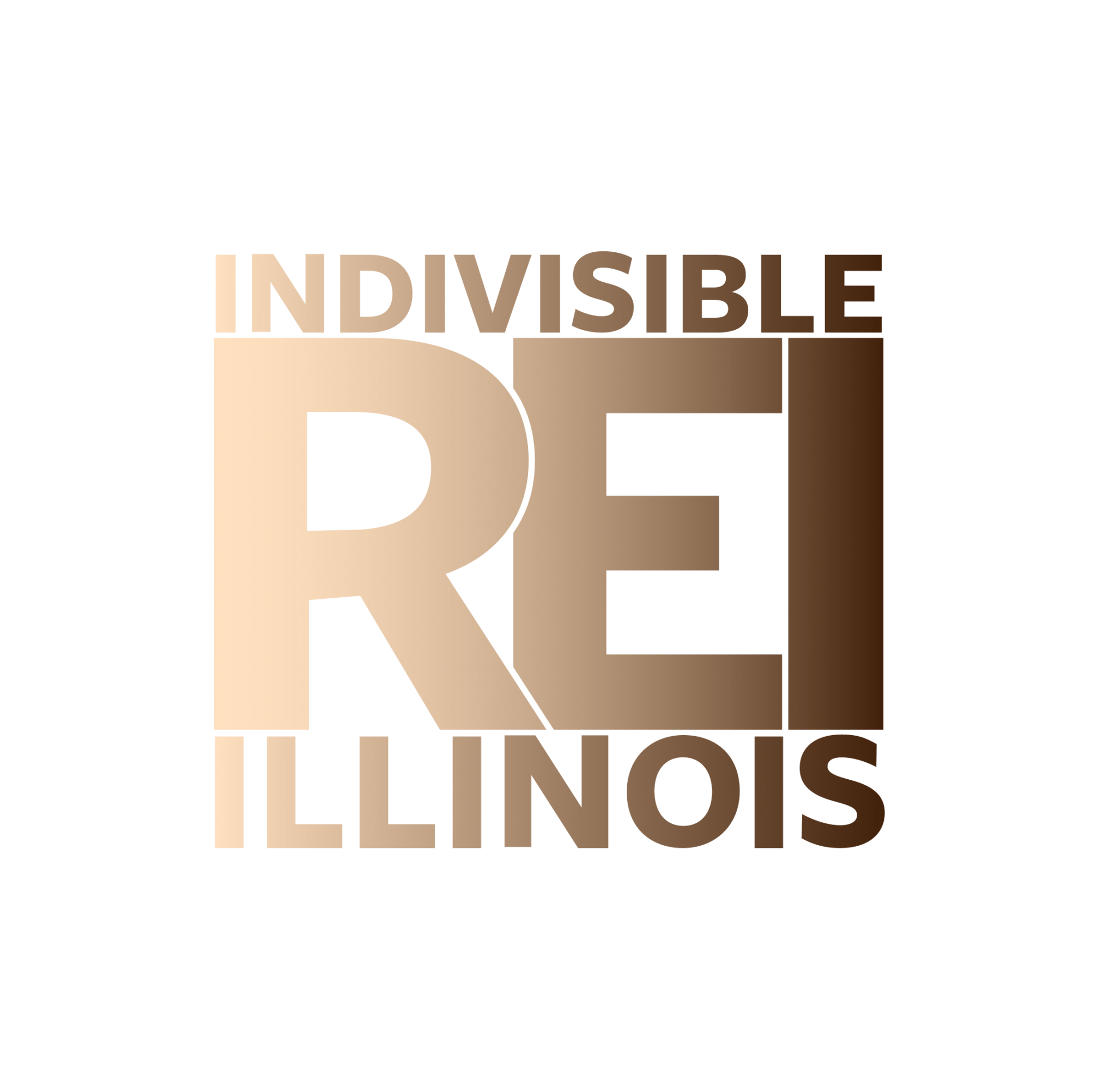 Racial Equity & Inclusion | Indivisible Illinois